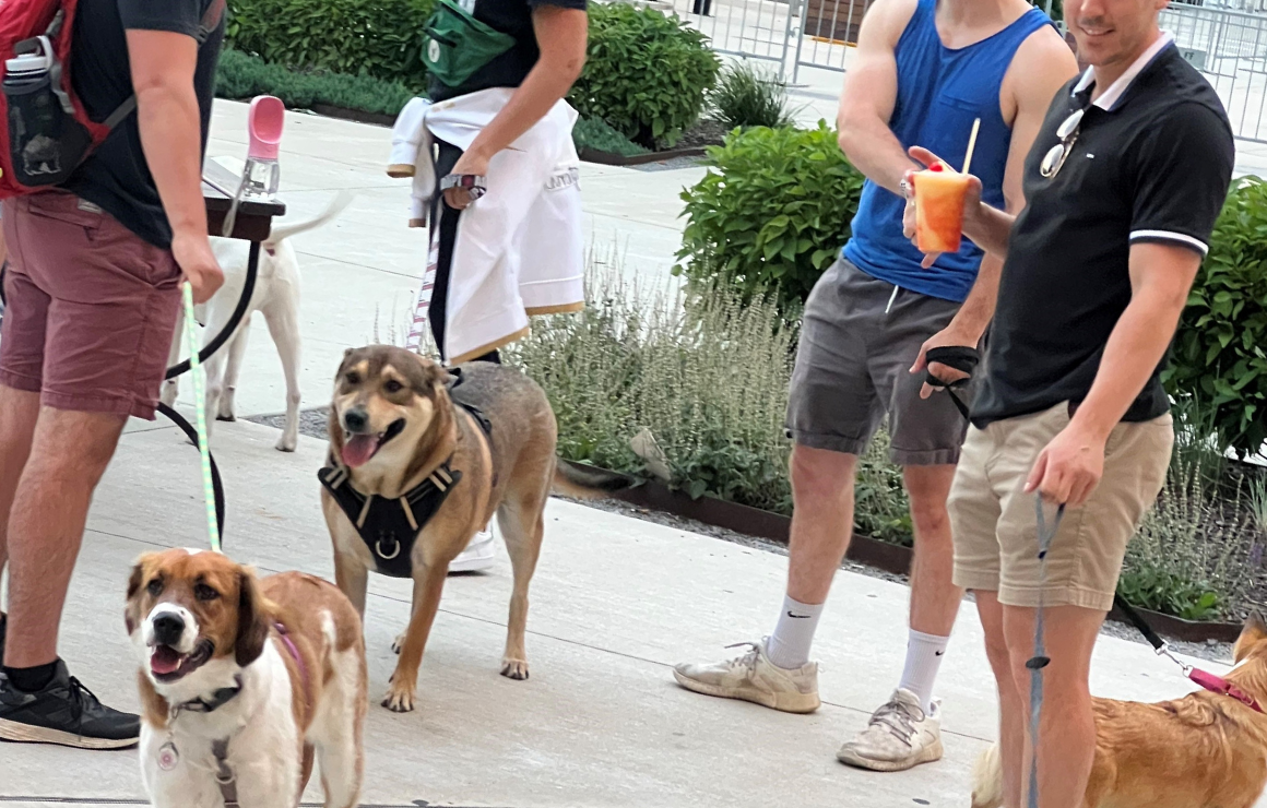 Thank you for Another Successful Wag Wednesday! – MKE Dog Park